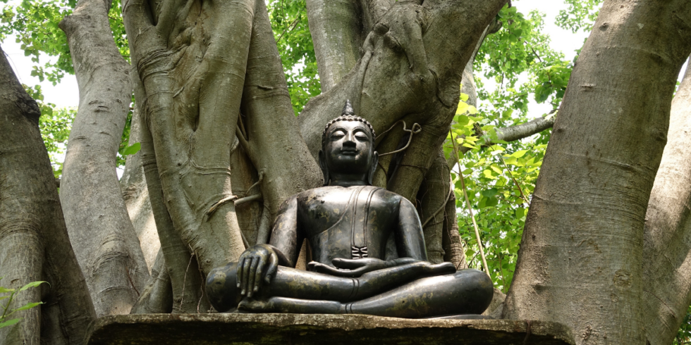 Join us for Saga Dawa on 31st May - Marpa House