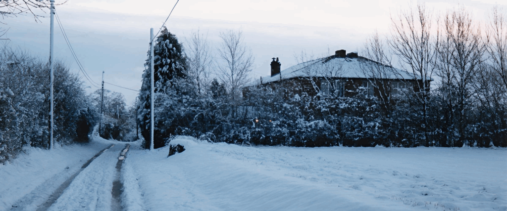 Winter 2025 Newsletter - Marpa House